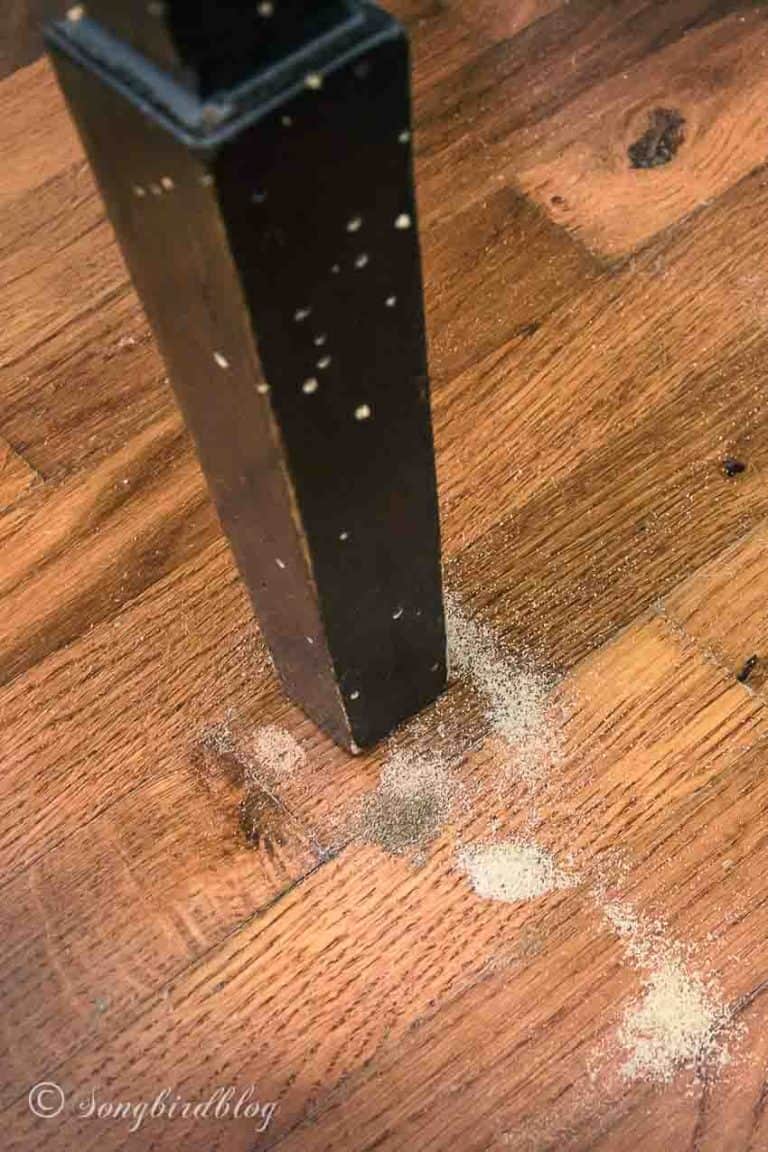 How to avoid pests in old furniture [and how to get rid of them] - Songbird